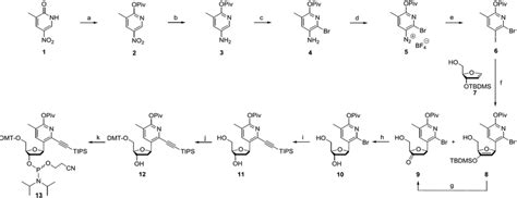 Scheme 1 Synthesis Of C Nucleoside 10 And Its Phosphoramidite Building Download Scientific