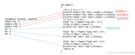 【linux系统编程】第二十七弹 文件描述符与重定向：fd奥秘、dup2应用与shell重定向实战銆俬鈥渇d Csdn博客