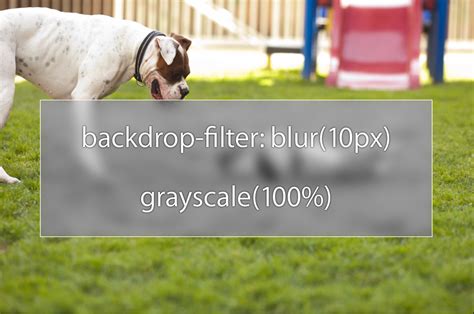 introducing backdrop filters webkit