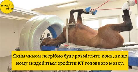 17 цікавих знімків які відповідають на запитання «Що буде якщо… ОЧМАНІТИ