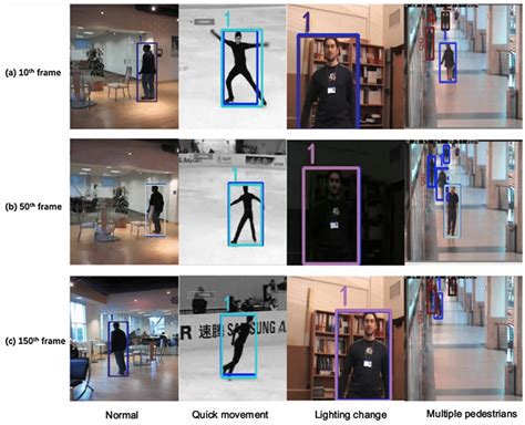 Results Of Single Target Tracking Download Scientific Diagram