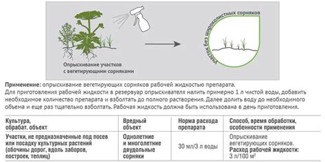 Деймос от сорняков что это и как применять