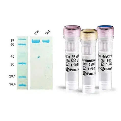 Phusion Dna Polymerase زیست فناوری سینوهه