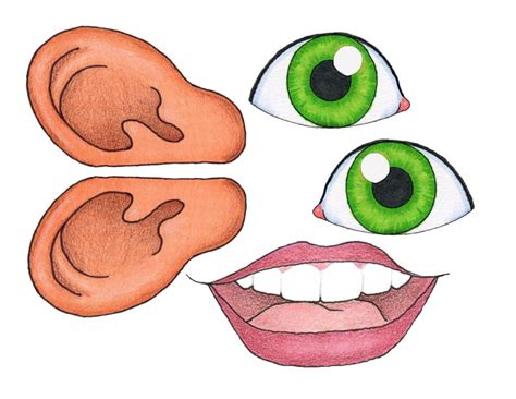 I Have Two Ears Camilles Primary Ideas