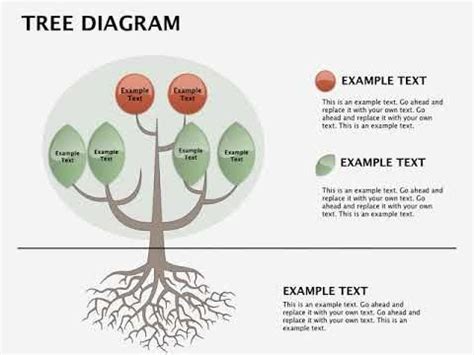Tree Analysis Keynote Diagrams Presentation Presentation Tree Diagram Keynote