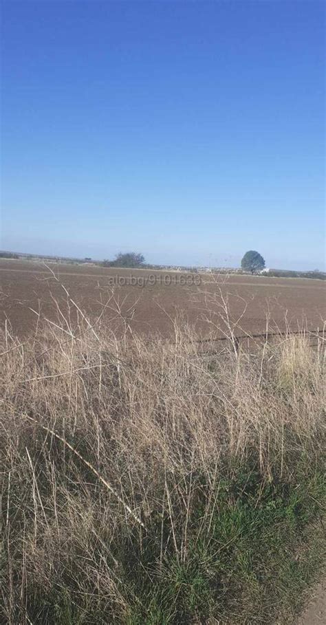 Бургас Земеделска земя Земеделска земя 3300 кв м четвърта категория Земеделска земя градини л