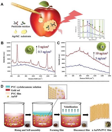 A Schematic Illustration Of Rapid Sers On‐site Detection Of Pesticides Download Scientific