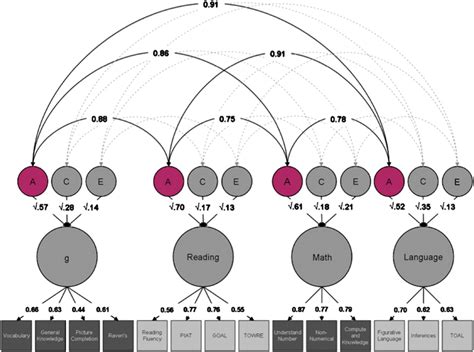 Multivariate Common Pathway Genetic Analysis In Which Each Latent