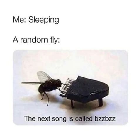 Introvert Memes Introvertmemesss • Instagram Photos And Videos