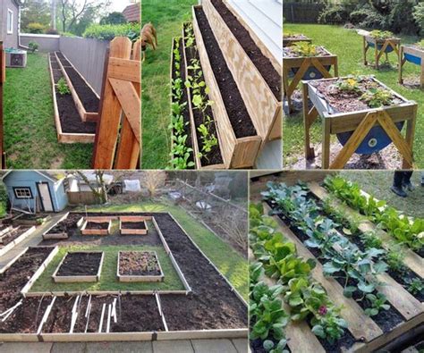 Small Vegetable Garden Layout Ideas Fasci Garden