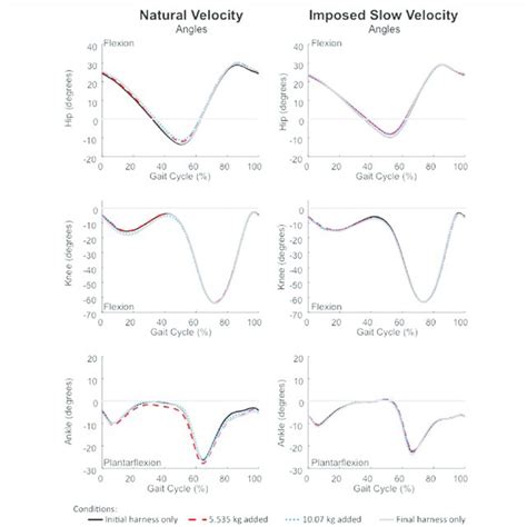Hip Knee And Ankle Kinematic Data By Walking Velocity Data Are The Download Scientific