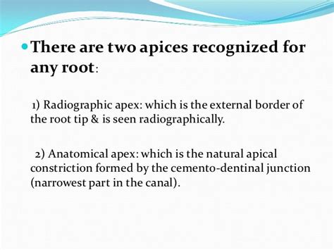 Radiographic Apex And Anatomical Apex At Luca Harford Blog