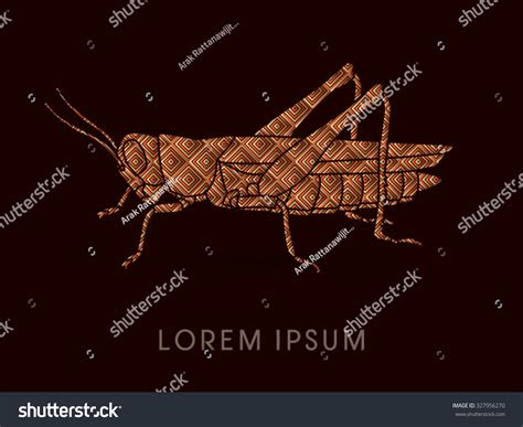 Grasshopper Designed Using Luxury Square Pattern Stock Vector Royalty Free 327956270