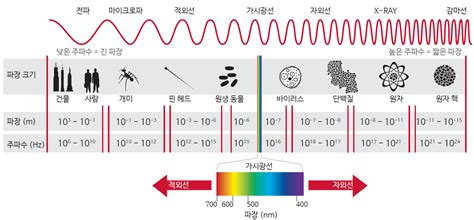 Board 정상국 교수 칼럼