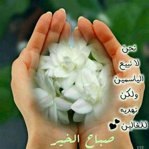 صباح الورد والياسمين Mutlu