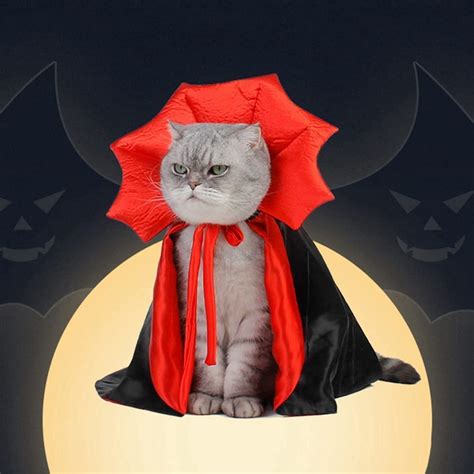 Amazon Halloween Costumes For Cats At Adrianna Moll Blog