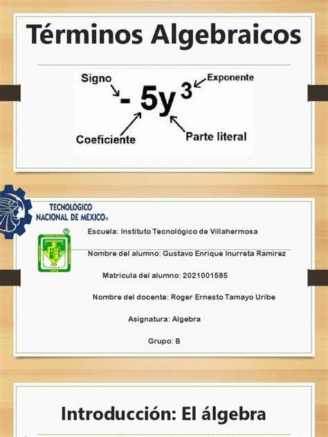 Exposición De Los Términos Algebraicos Pdf Álgebra Aritmética