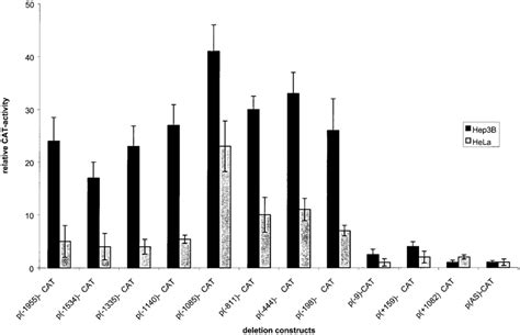 cat activity of promoter deletion constructs transiently transfected