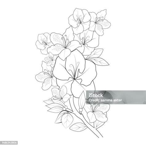 진달래 꽃 문신 진달래 선 그리기 진달래 꽃 진달래 꽃 문신 흑백 진달래 꽃 문신 디자인 진달래 꽃 그리기 진달래 꽃 그리기 진달래 덤불 그리기 진달래 꽃 윤곽 사실적인