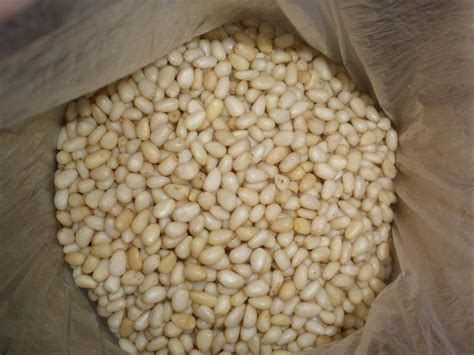 Как хранить кедровые орехи в домашних условиях