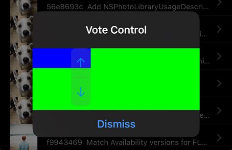 Trouble With Rotating A Uiview Riosprogramming