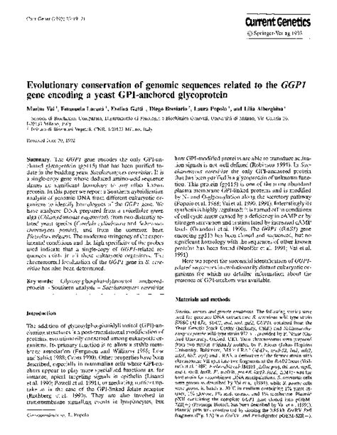 Pdf Evolutionary Conservation Of Genomic Sequences Related To The Ggp1 Gene Encoding A Yeast