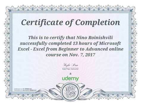 Nino Roinishvili On Linkedin Completion Certificate For Microsoft Excel Excel From Beginner To