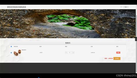 Pythonflask计算机毕业设计攀枝花学院助农义购系统（程序开题论文） Csdn博客