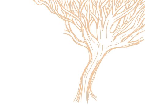 Tree Drawing With No Leaves