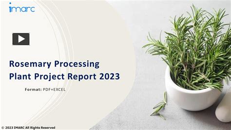 Ppt Rosemary Processing Plant Cost Ppt Project Report 2023 Machinery Raw Materials