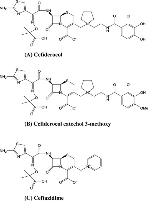 Chemical Structures Of Cefiderocol Cefiderocol Catechol 3 Methoxy Download Scientific Diagram