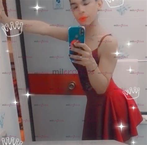 5515365267 La Flaquita Tragona De Verga Con Ganas De Hacerte Venir En