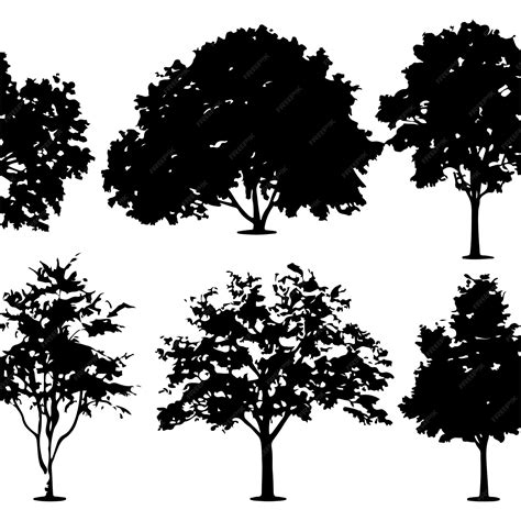 Коллекция Реалистические групповые деревья Изолированные силуэты Векторный иллюстратор Премиум
