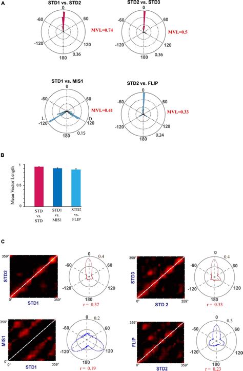 Representation Of Rotational Correlation Of Place Field Population In Download Scientific