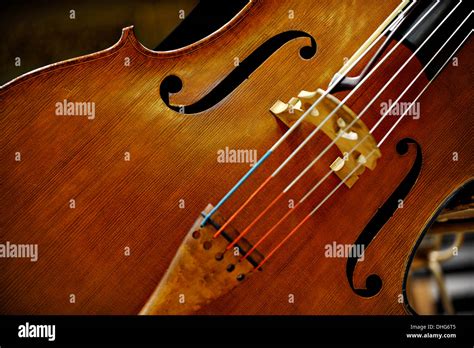 Double Bass String Identification At Ricardo Lafayette Blog
