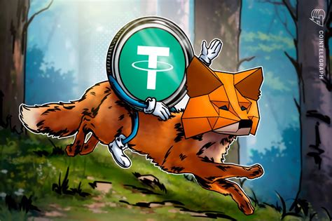 how to add usdt to metamask wallet