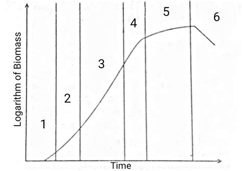 Biotechfront Fermentation Defination Principle And Batch