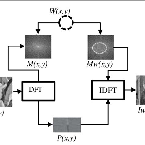 Principle Of The Insertion Of A Circular Mark In The Fourier Domain
