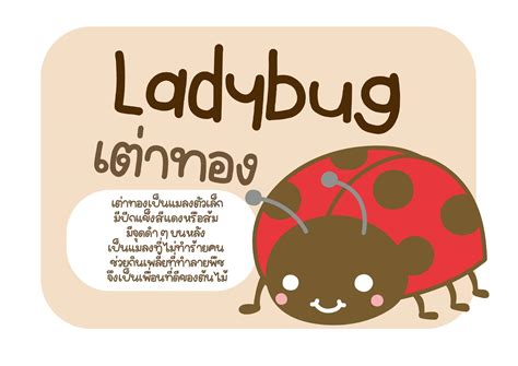 Coolfriend เพื่อนคูลๆของครู Coolfriend เพื่อนคูลๆของครู