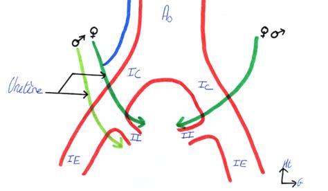 uretyr10.png | Servimg.com - Free image hosting service