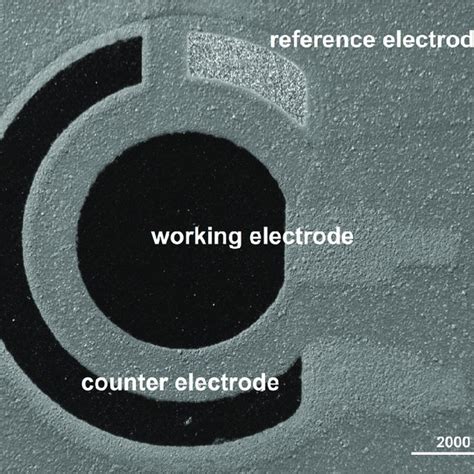Optical Microscopic Image Of Screen Printed Carbon Electrode Spce Met Download Scientific