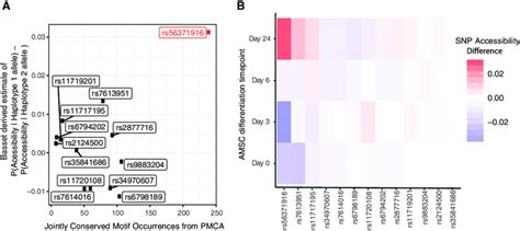 Sequence Based Computational Predictions Of Regulatory Variants At The Download Scientific