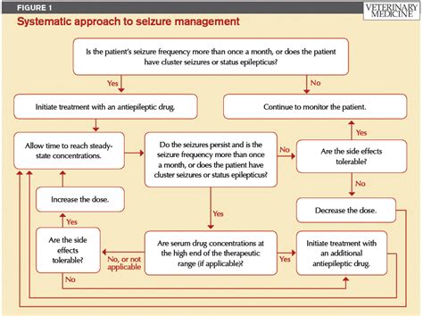 Epilepsy Seizure Management