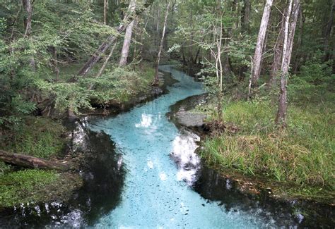 NAKED SPRING JOURNEY Niki Butcher Clyde Butcher Black White Fine Art Photography