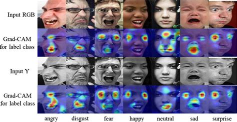 Examples Of The Gradient Weighted Class Activation Mapping Grad Cam