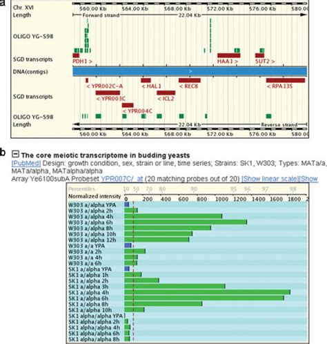 Genome Annotation And S98 Genechip Expression Profiling Data For Rec8