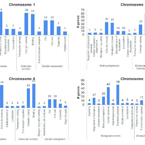 Ontology Of The Candidate Genes Within The Quantitative Trait Loci Download Scientific