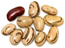 Beans Peas And Lentils