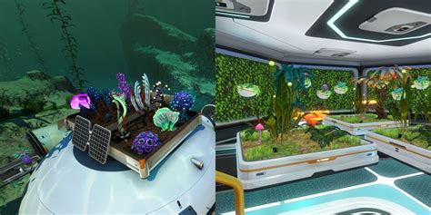 Subnautica All Of The Growable Plants And What They Give You
