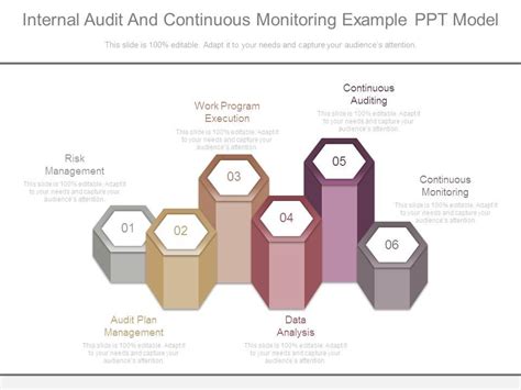 Internal Audit And Continuous Monitoring Example Ppt Model Templates
